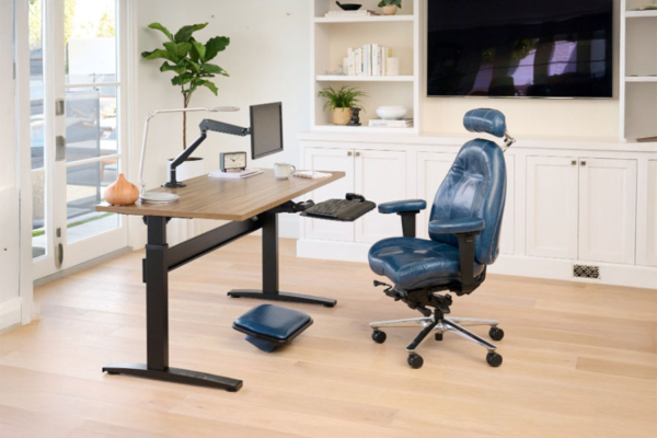 LIFEFORM® Chairs - PainFree Living: LIFEFORM® Chairs